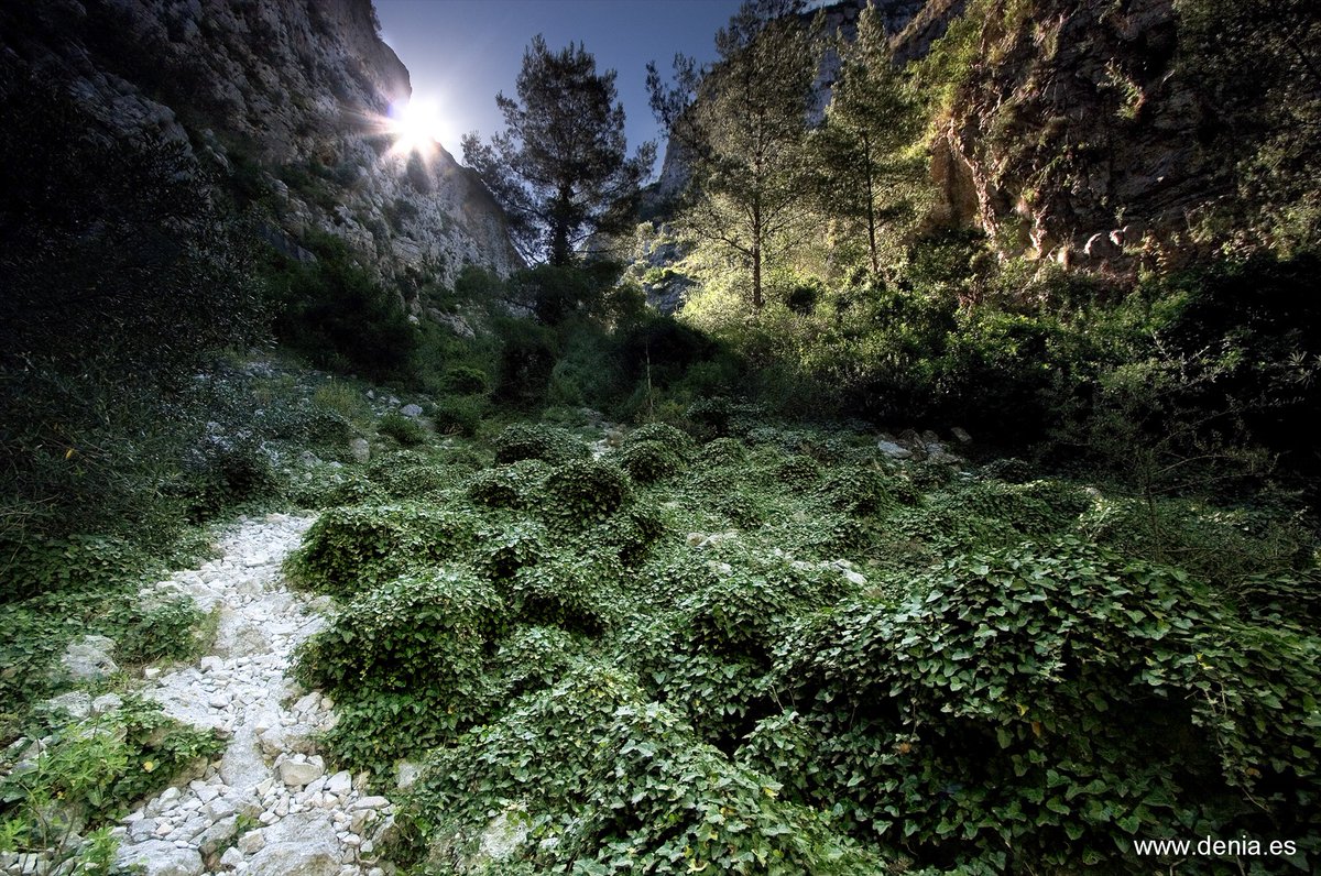 Montgo Hiking Routes - Javea Connect